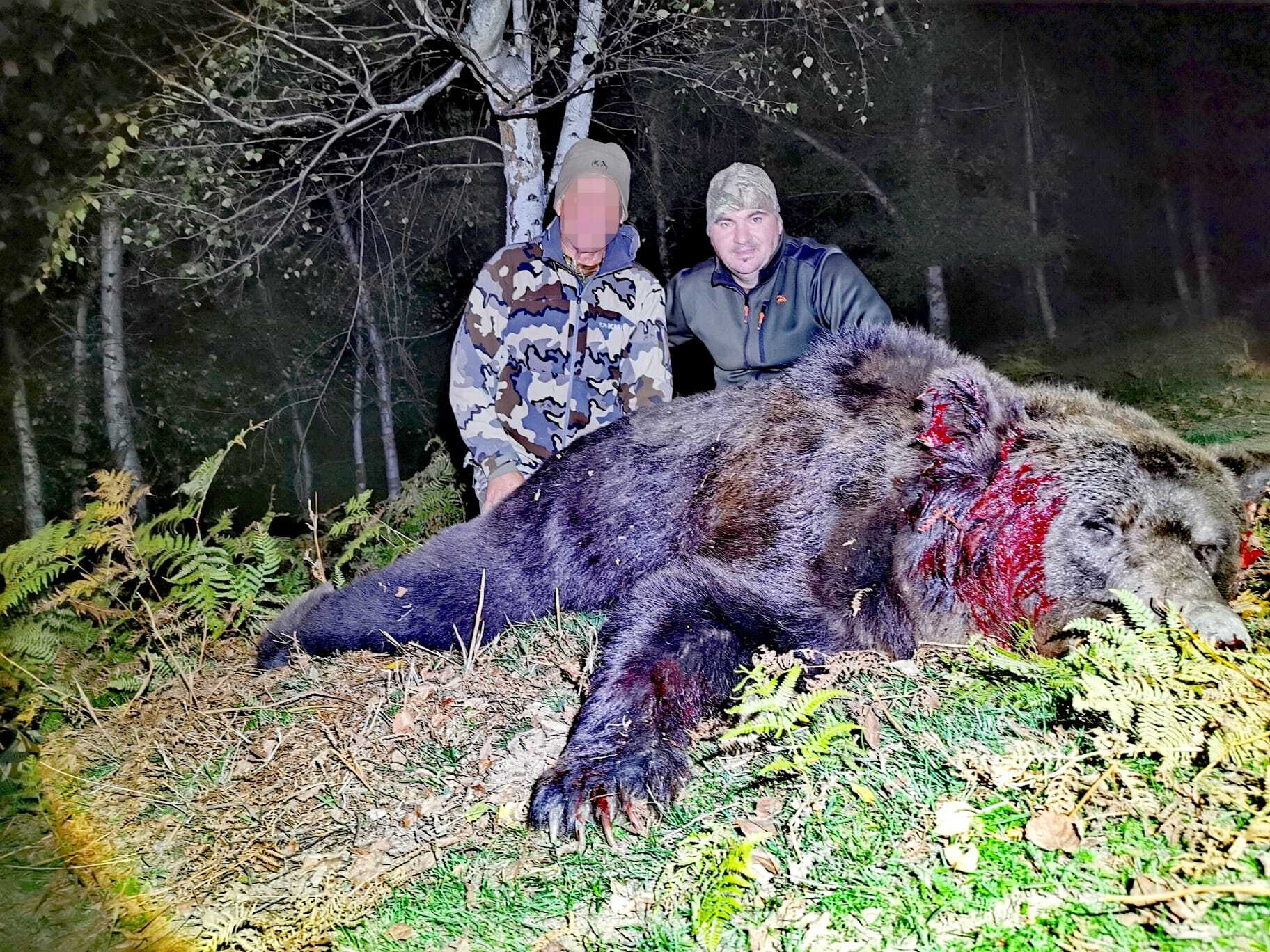 Hunting Excursions & Packages Price List in Romania