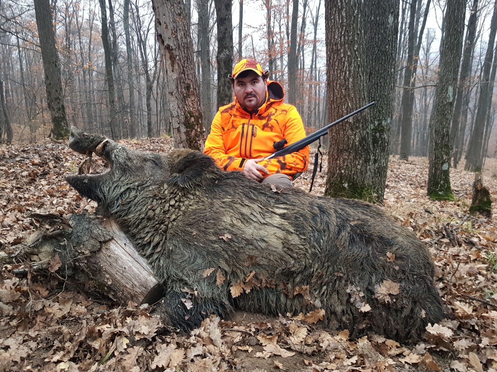 Explore Hunting Excursions in Romania | Adventure Awaits